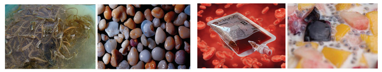 Disc Pump -disc type pump for liquid with big particles | ZIONBROS